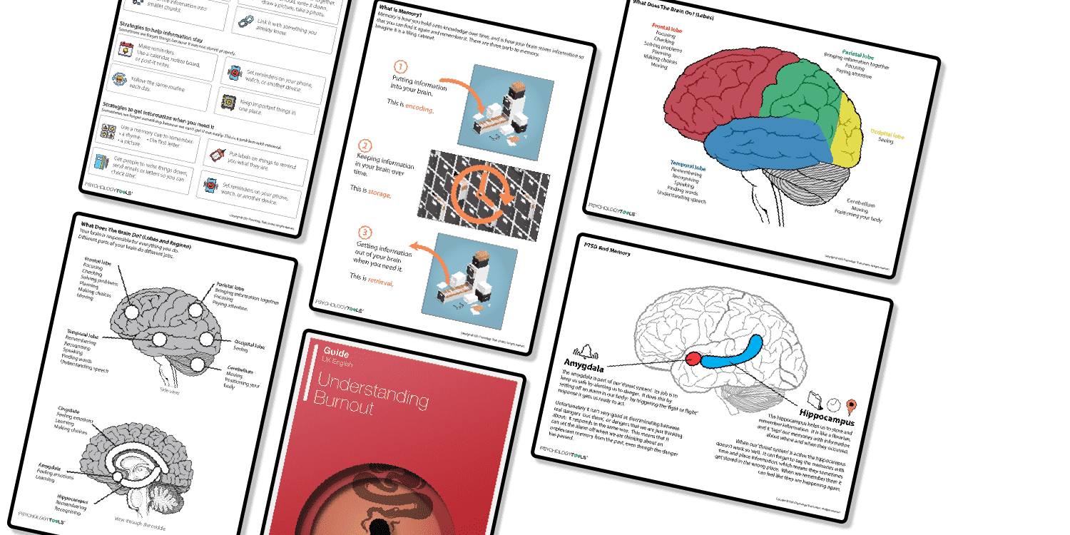 Memory | Psychology Tools