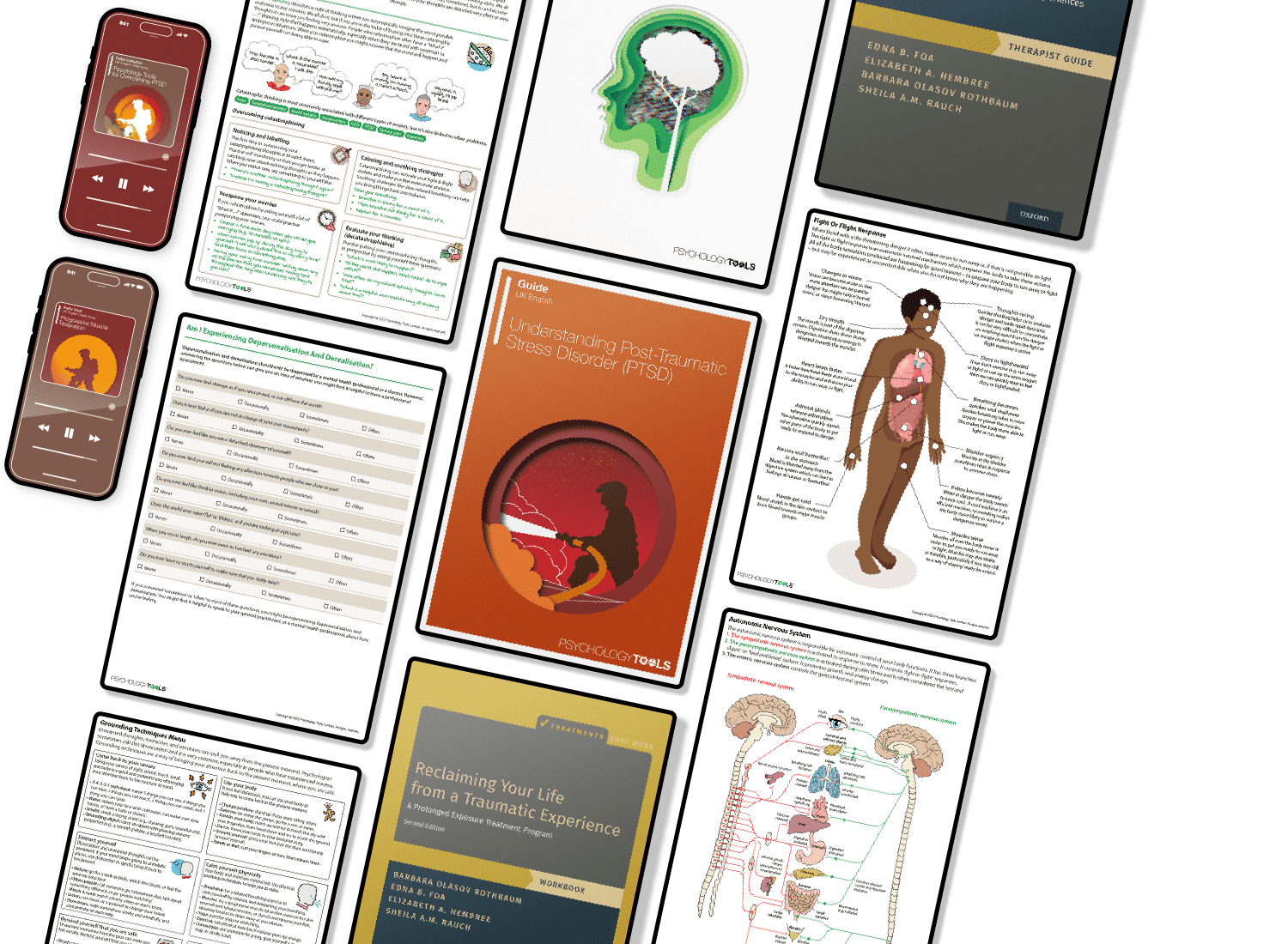 PTSD (Incl. Trauma, Disssociation) | Psychology Tools